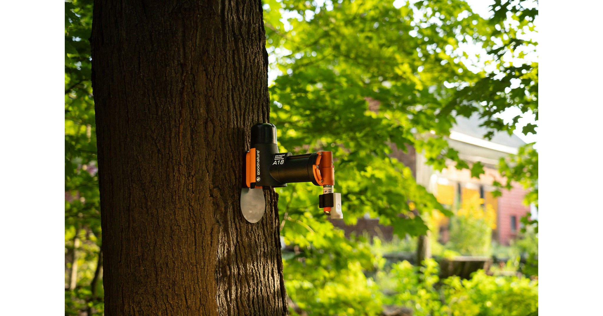 Revolutionary new trap helps protect homes and crops from damages ...