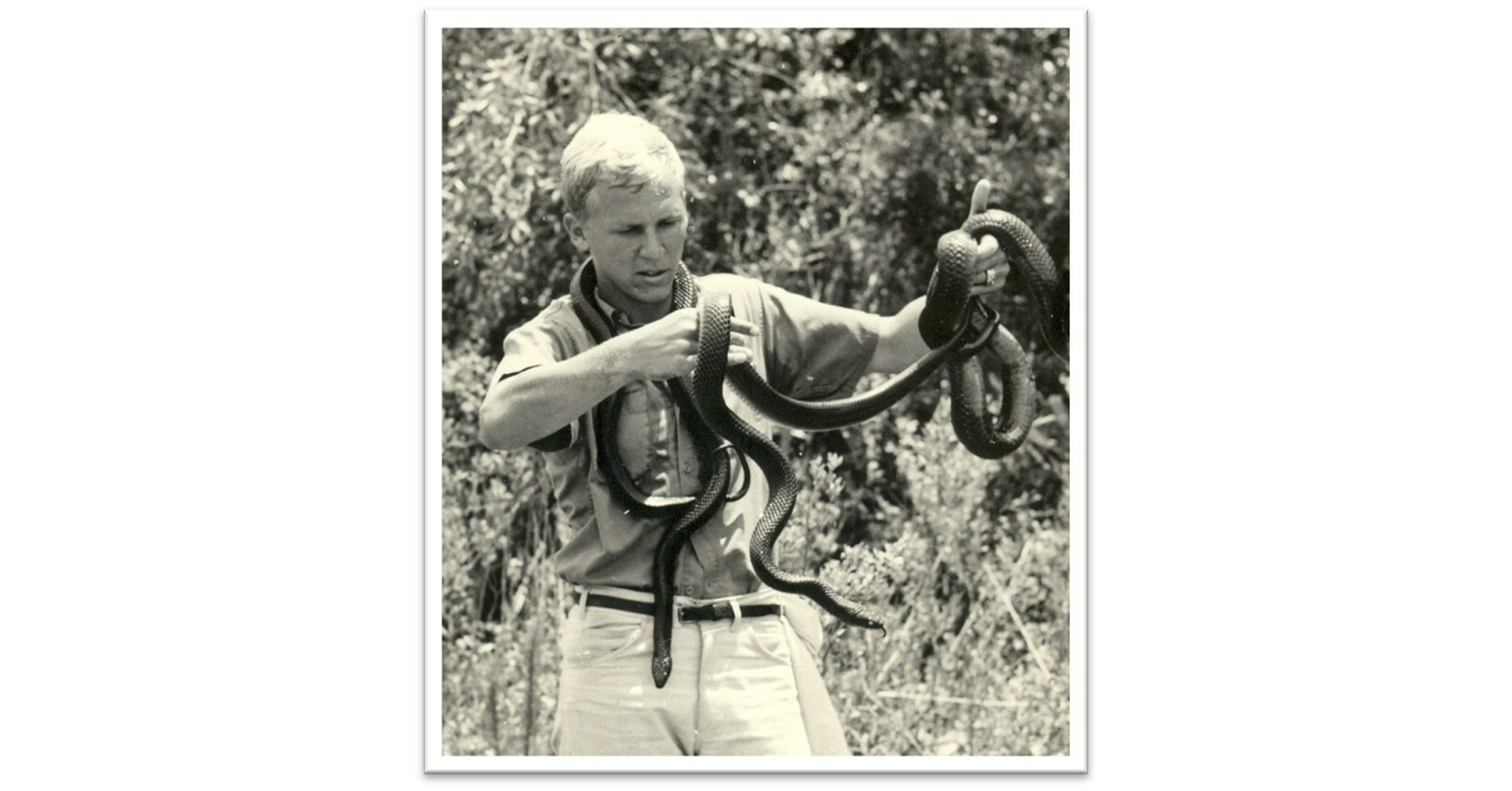 HarperCollins Publishers India is proud to announce the forthcoming ...