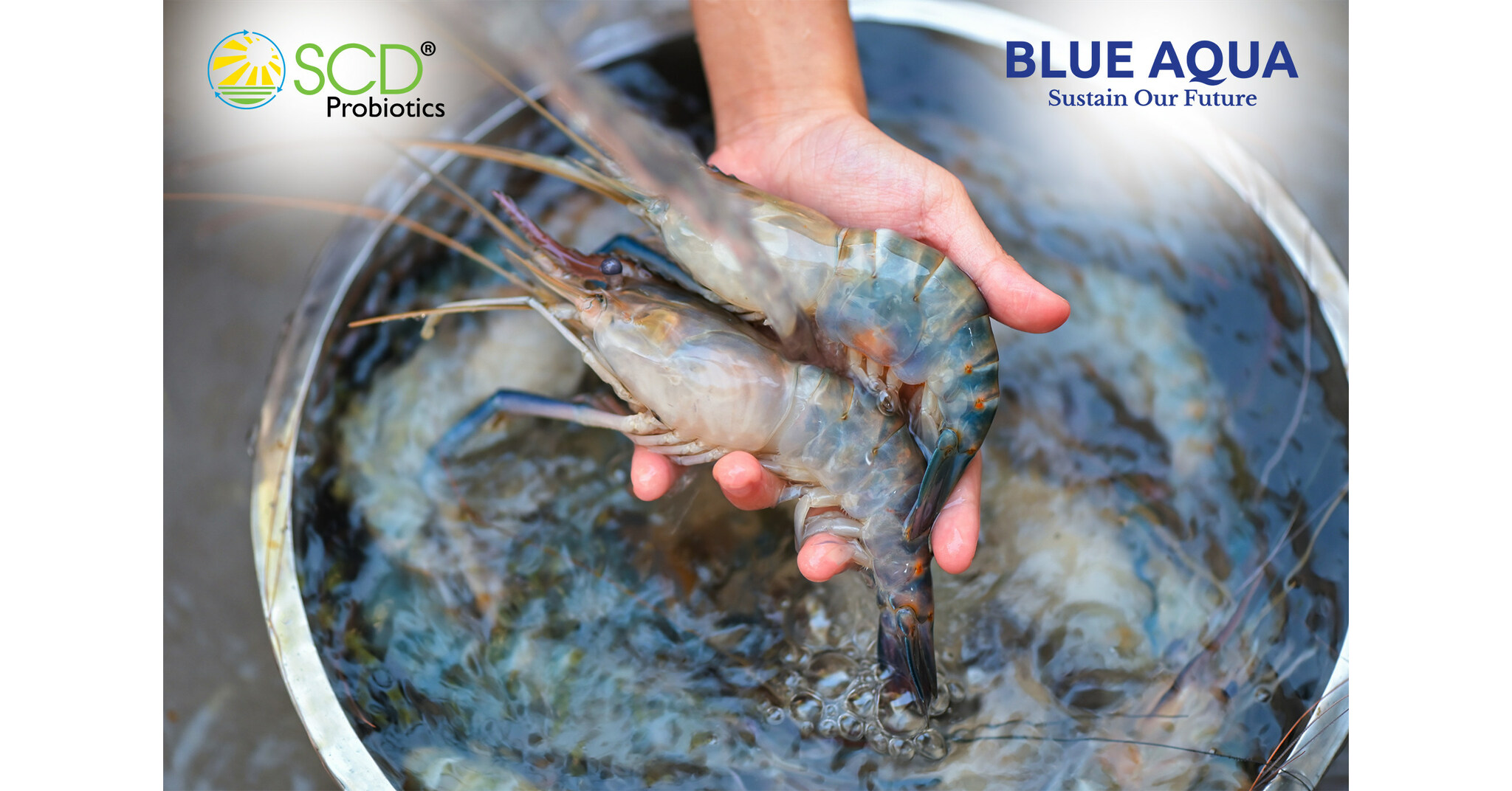 Blue Aqua, SCD Probiotics Partner to Build Manufacturing Plant in Singapore