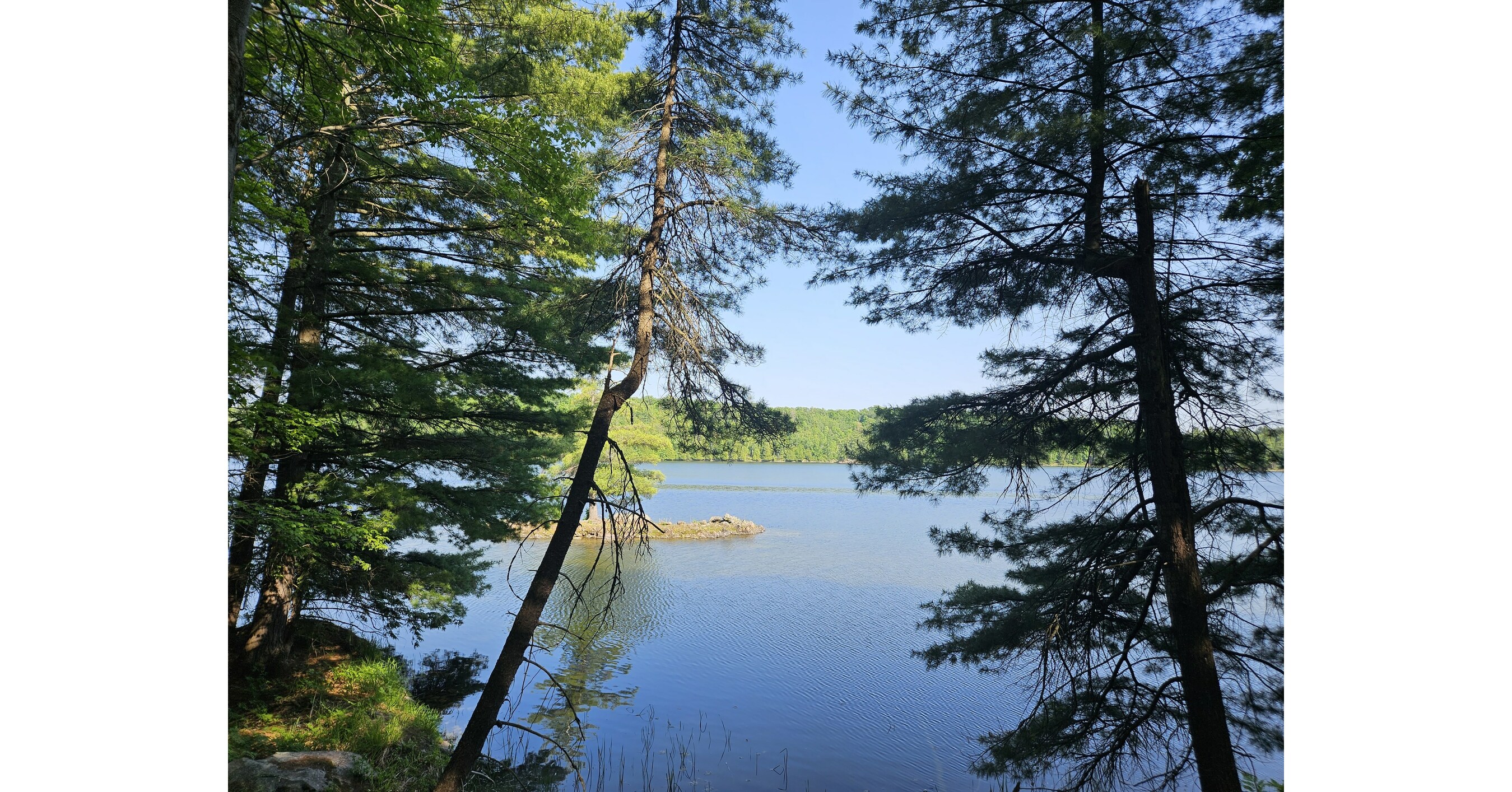Ontario Nature Expands the Lost Bay Nature Reserve Important nature ...