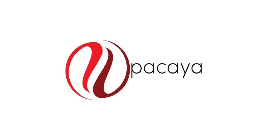 Pacaya: The Game-Changing App Reshaping Social Dynamics - Say Goodbye ...