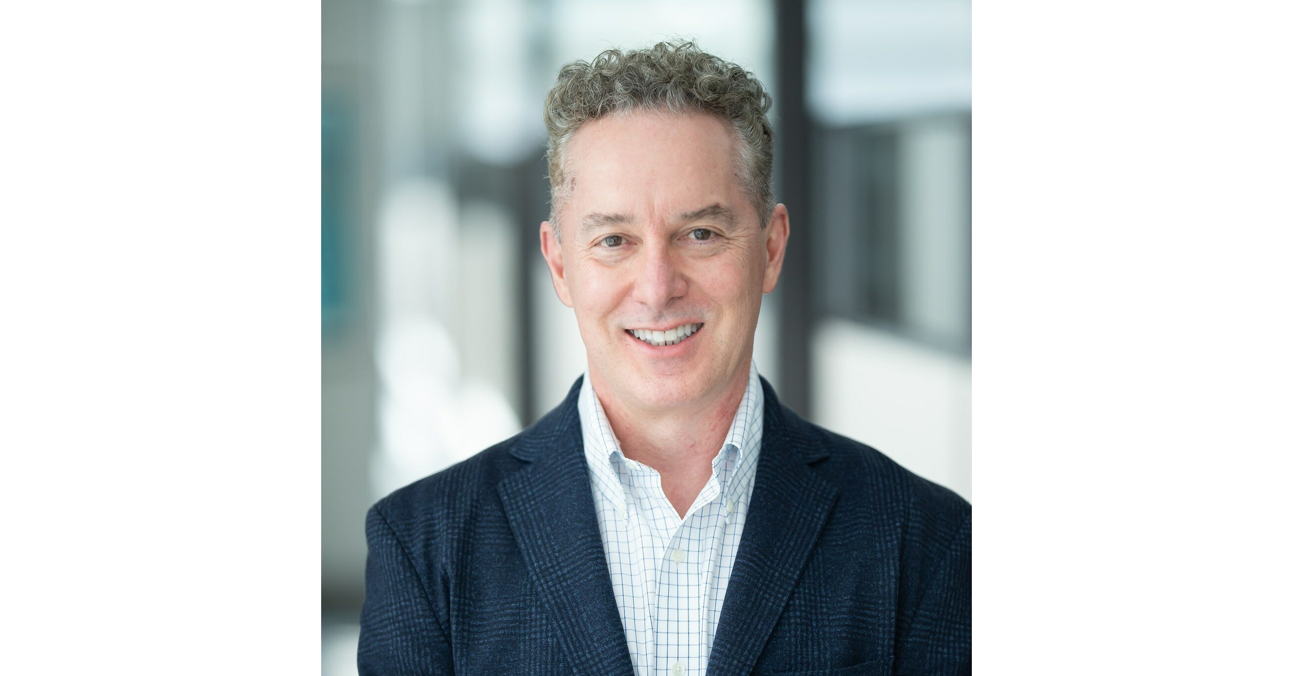 Hammerspace Appoints Mark Cree as SVP of Strategic Partnerships