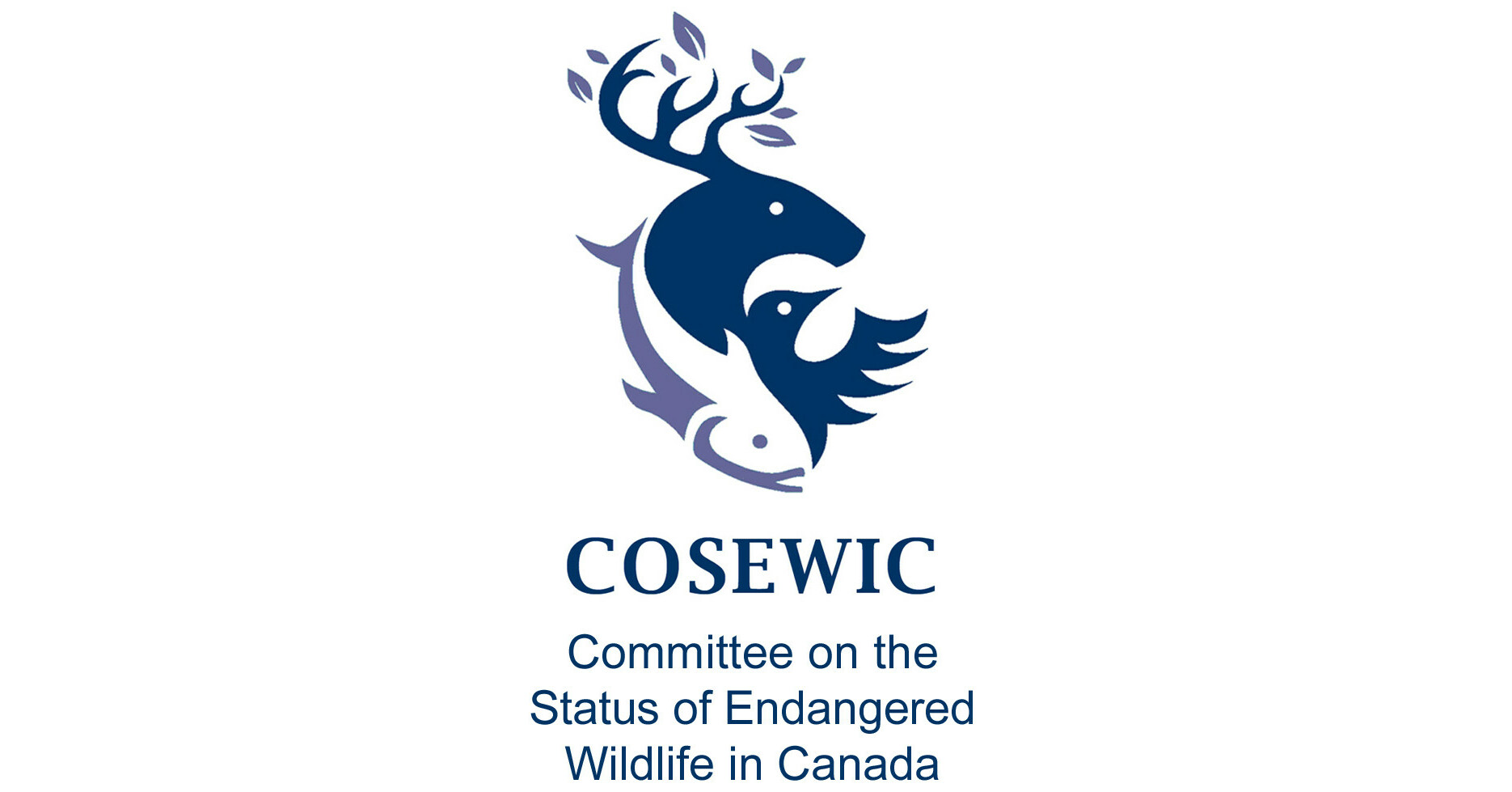The Committee on the Status of Endangered Wildlife in Canada to ...