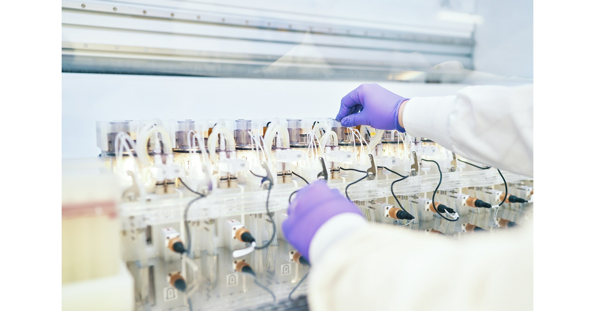 Vivici Selects Ginkgo Bioworks to Extend Their Range of Novel Dairy ...