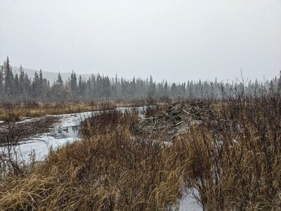 Invert Partners with Carbonethic and Kaska Dena Council to Co-Develop ...