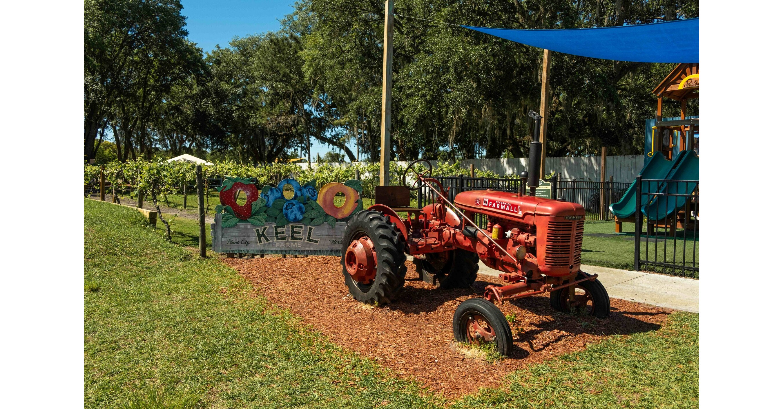 Find Unique Gifts, Support Local Businesses and Enjoy Delicious Drinks ...