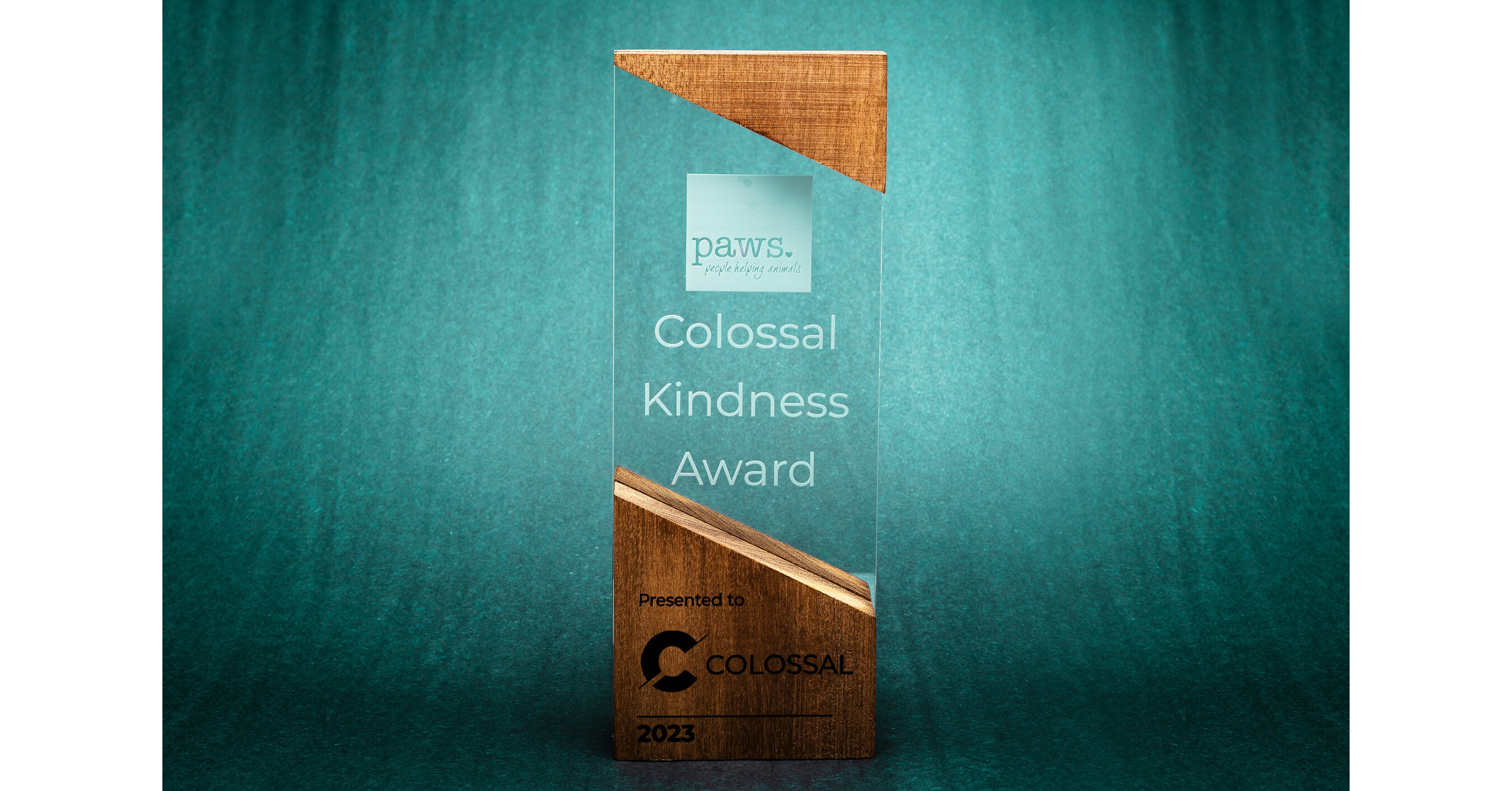Colossal Receives Inaugural ‘Colossal Kindness Award’ at 56th Annual ...