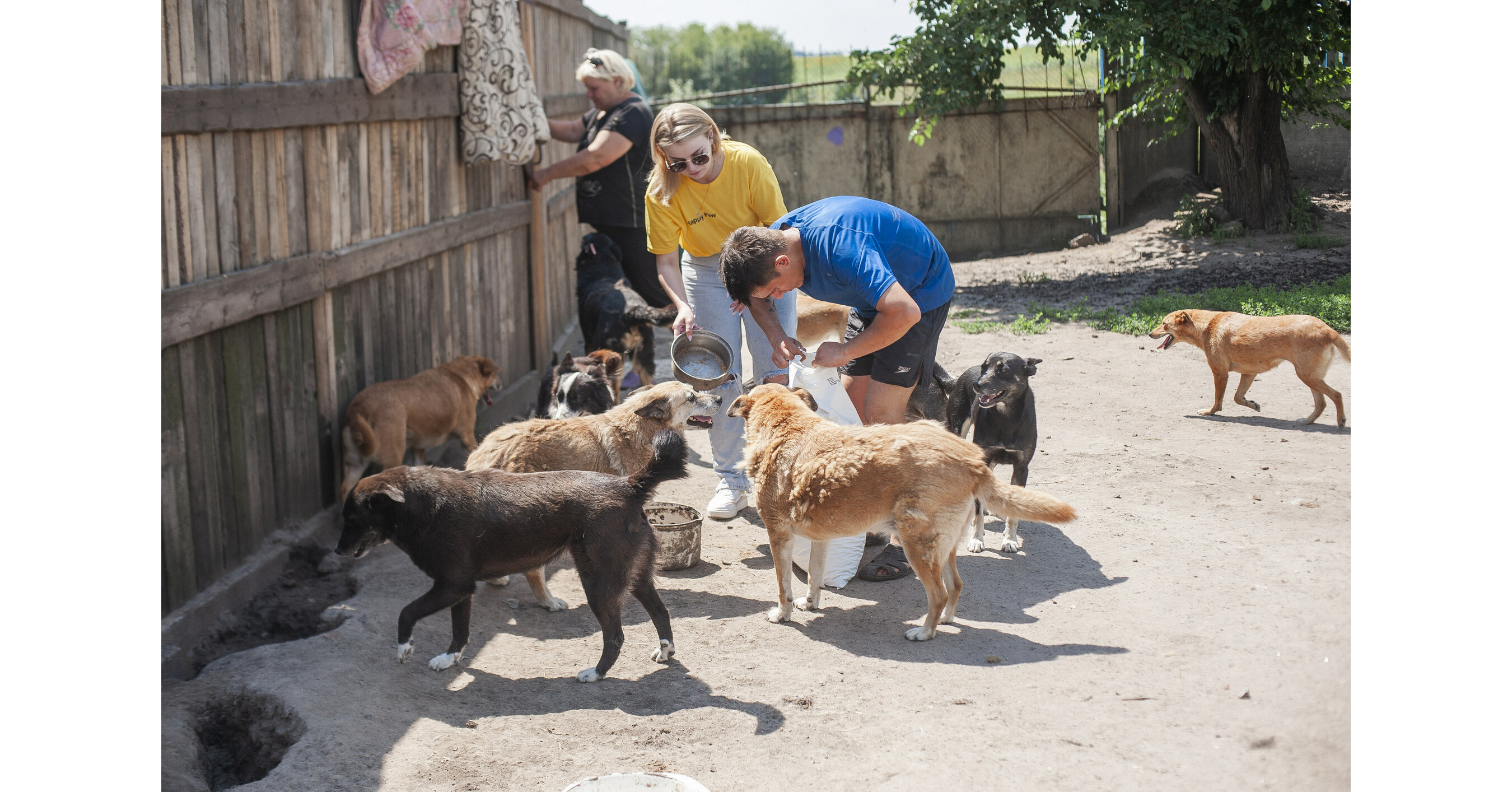 veterinarians without borders