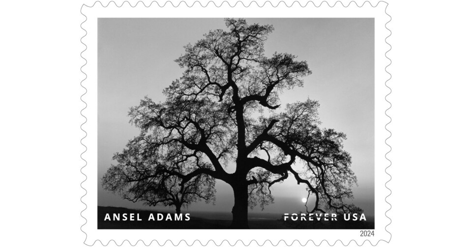U.S. Postal Service Reveals Additional Stamps for 2024