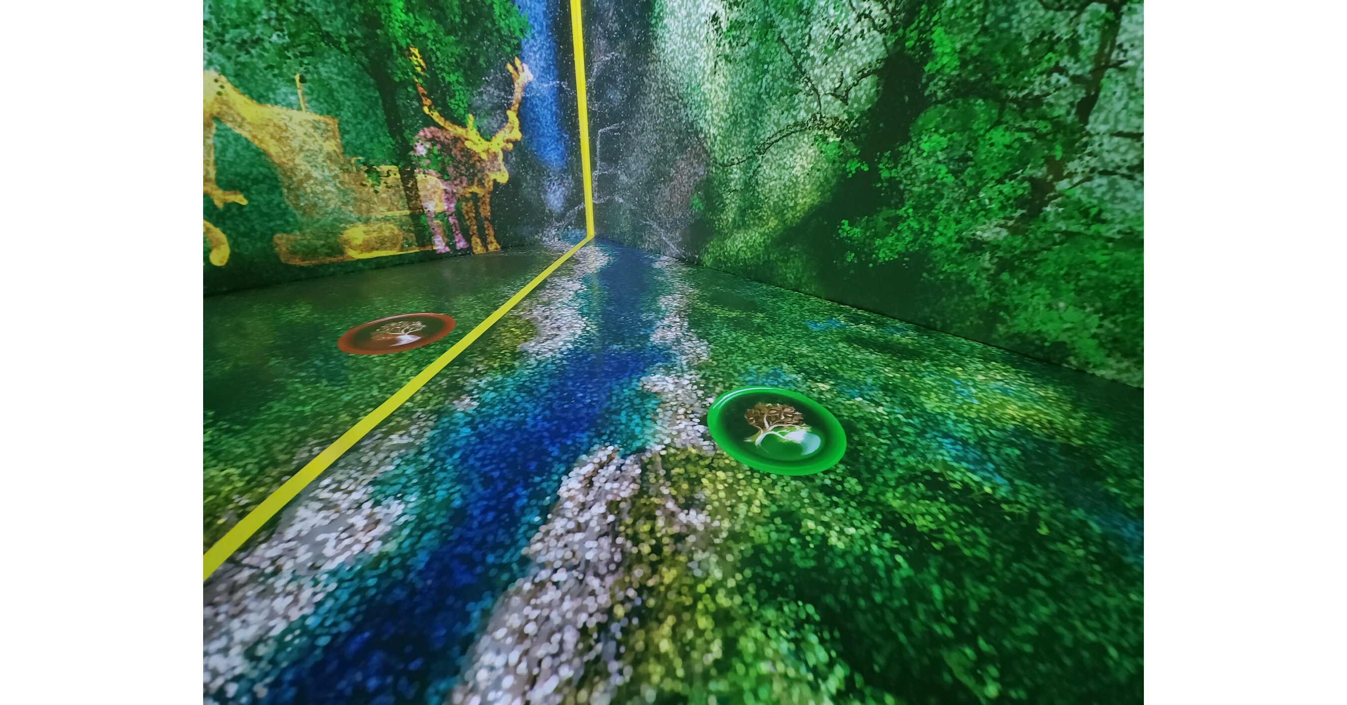 Regenerate Canada, WWF's new immersive experience at Arcadia Earth ...