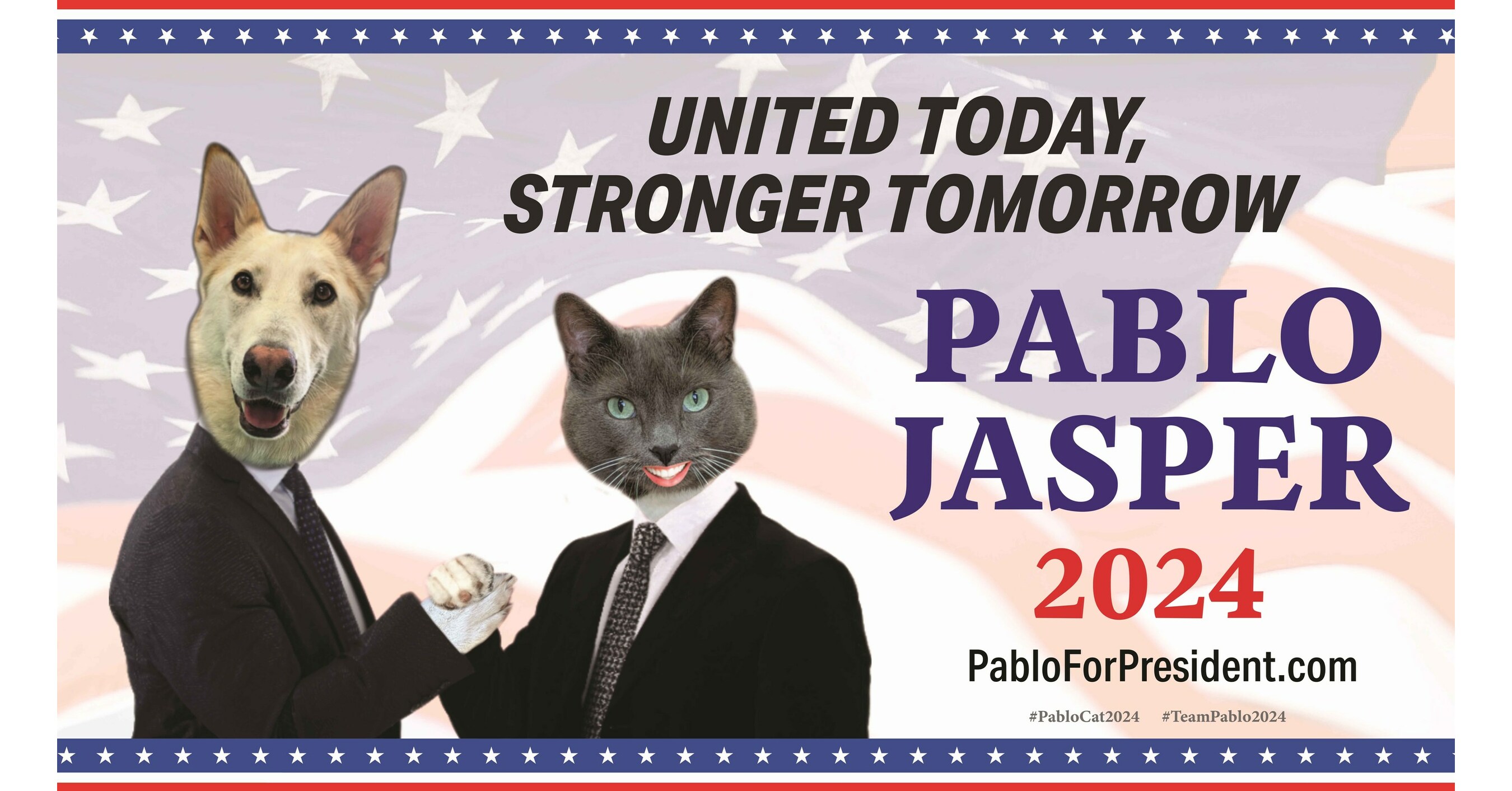 Paws-itively Uniting America: Jasper Dog and Pablo Cat Break Political ...
