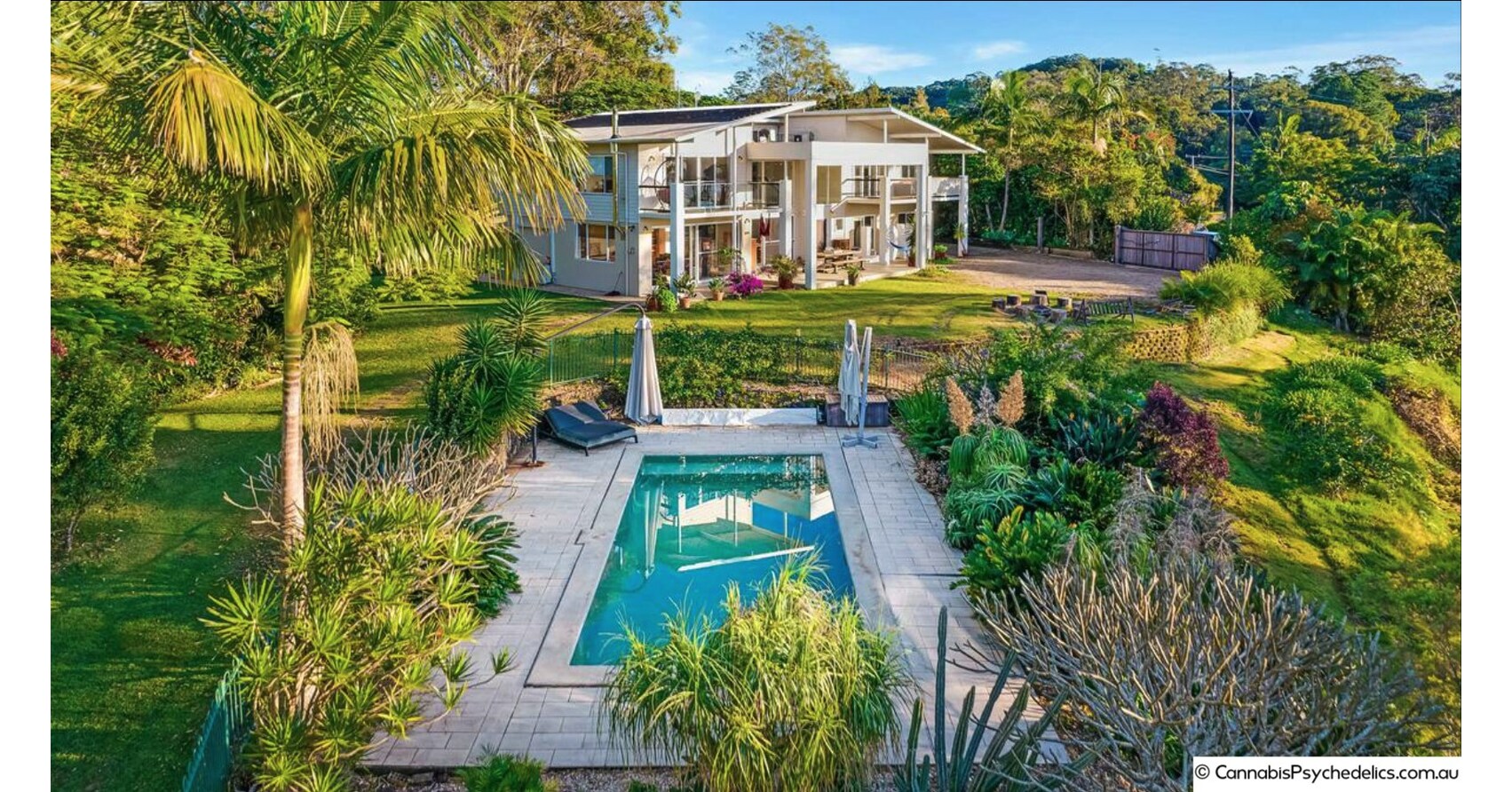 Australia's first Cannabis Psychedelic Therapy launches at the Nine ...