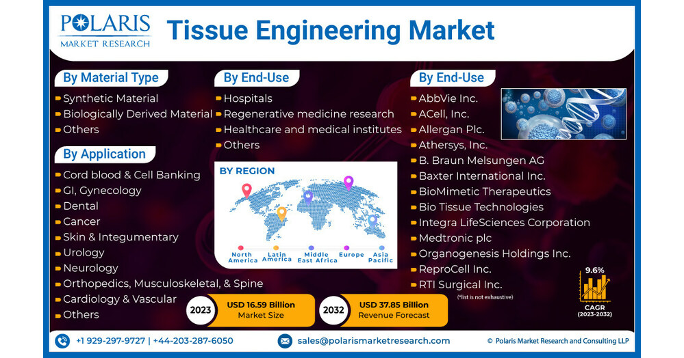Tissue Engineering Market Size Estimated to be Worth USD 37.85 Billion ...