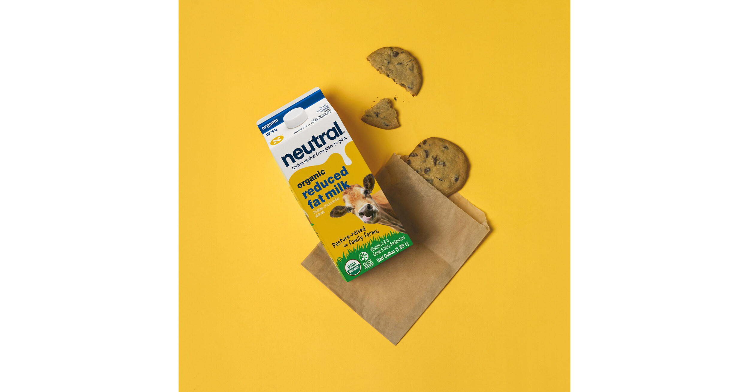 U.S. Adults Plan to Be Kinder to the Planet This Holiday Season by ...