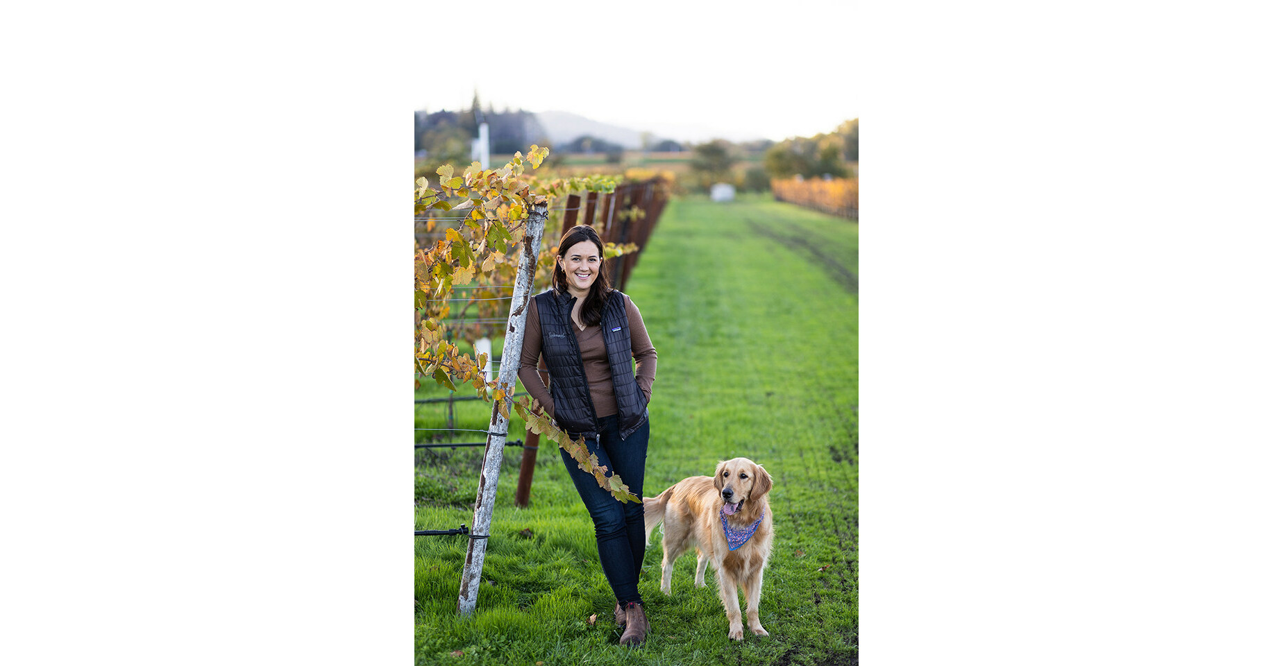 Larkmead Vineyards Earns California Certified Organic Farmers (CCOF) Status