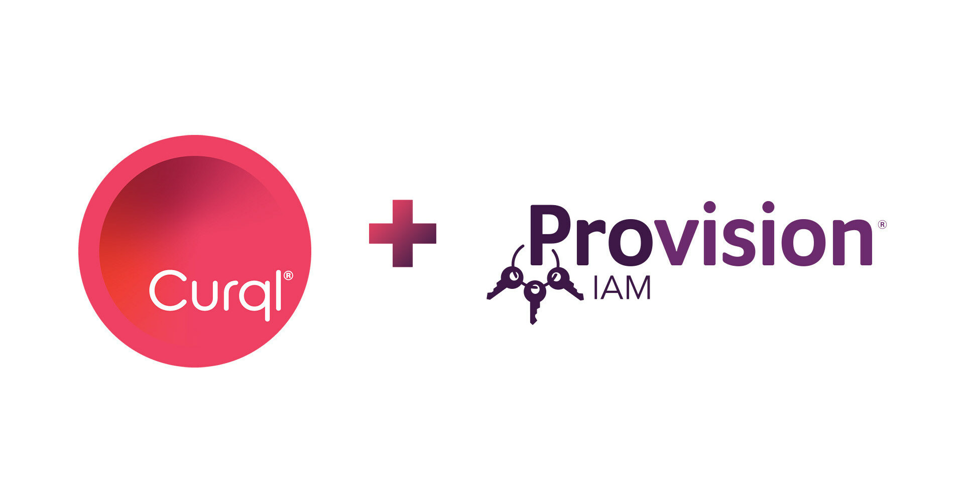Provision IAM Raises Funding from Curql to Drive Growth