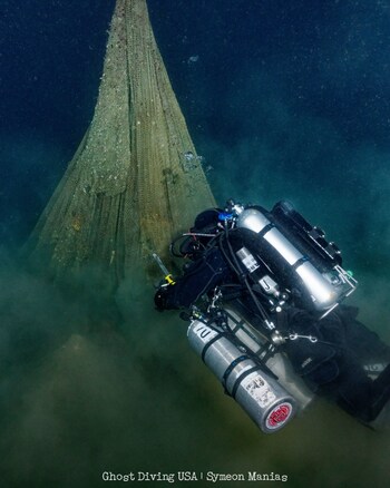 Hyundai Strengthens Sustainability Commitment with Healthy Seas and ...