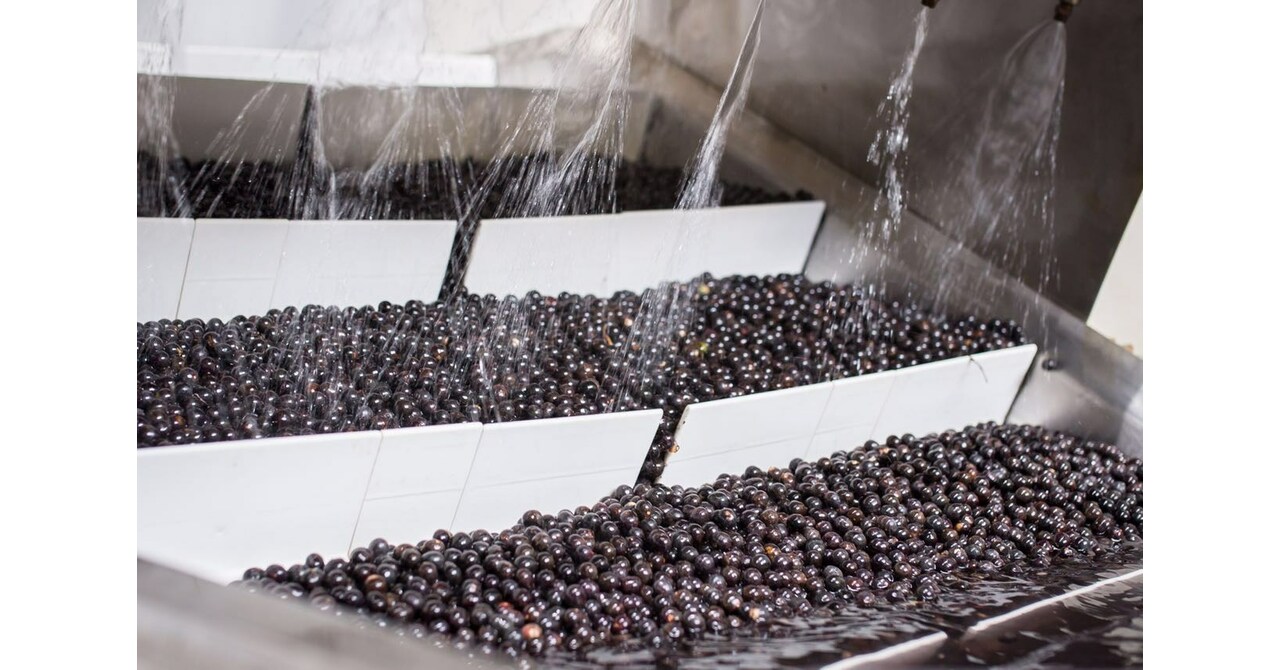 THE GREAT AMERICAN AÇAÍ DILEMMA