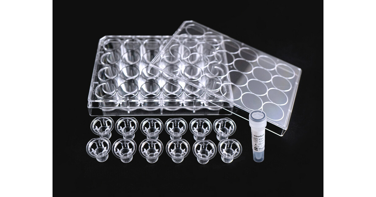 Breaking the Barrier: TheWell Bioscience Launches VitroGel-Based Cell ...