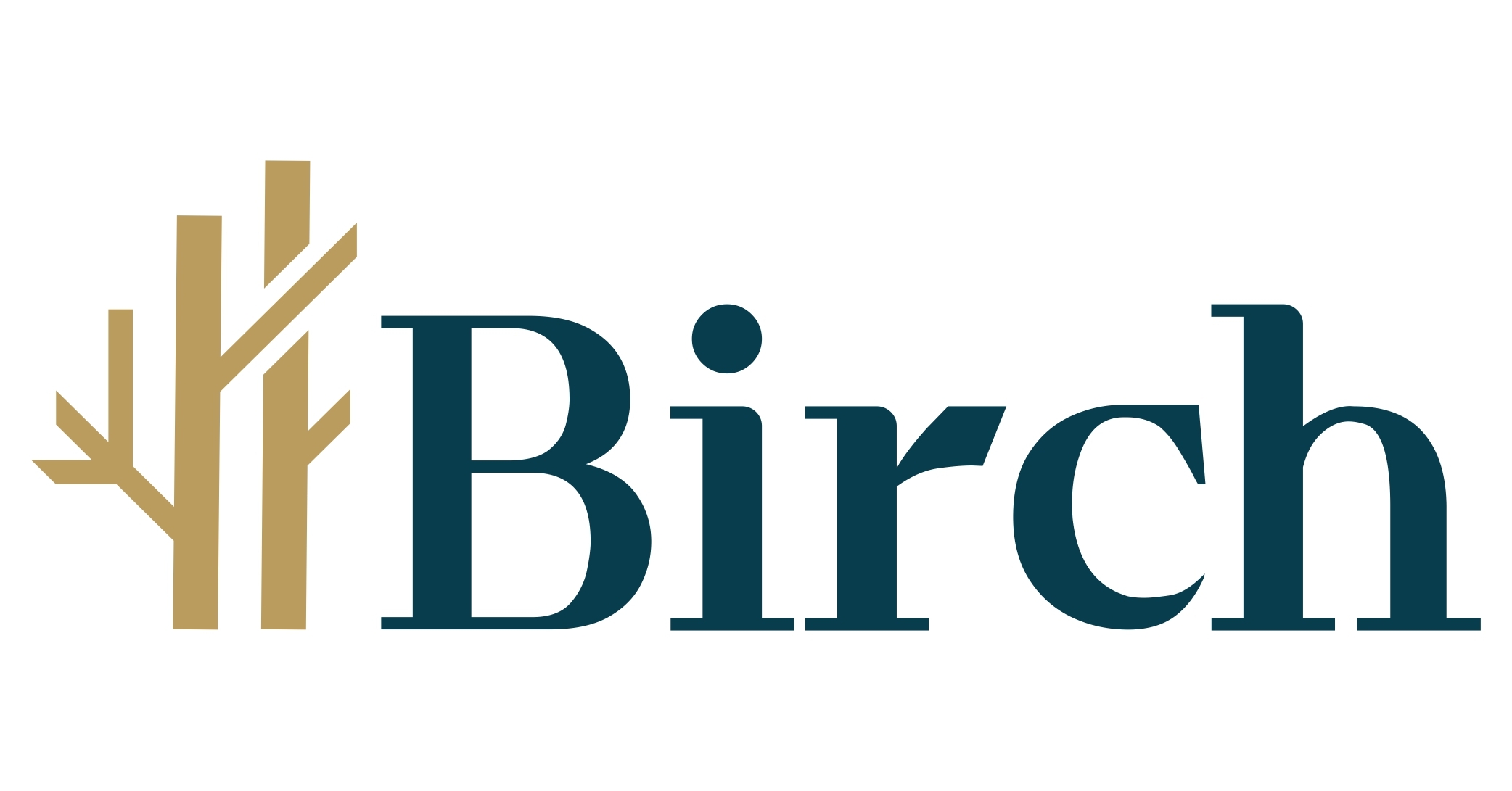 Former NovaSource Power CEO joins Birch Risk Advisors as Renewable ...