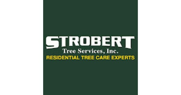 Strobert Tree Services Leads Christmas Tree Recycling Initiative in ...