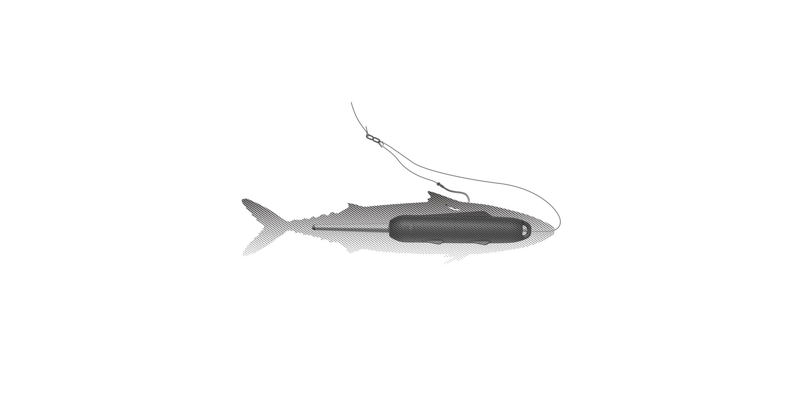 Kanama Smart Bait: A Breakthrough in Intelligent Fishing Technology