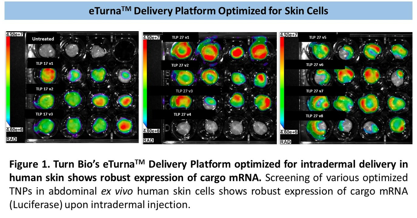 Turn Biotechnologies' Expanded eTurna™ Delivery Platform Designed to ...
