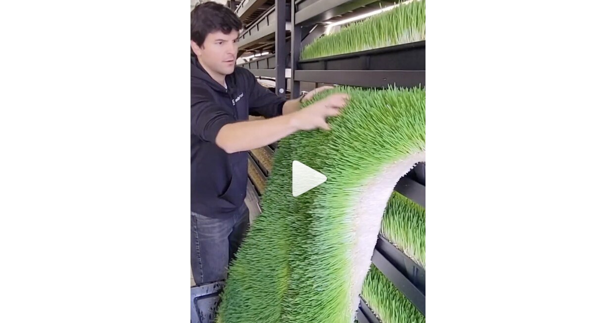 Surprise Viral Video Puts Spotlight on Tech-Driven Container Farms