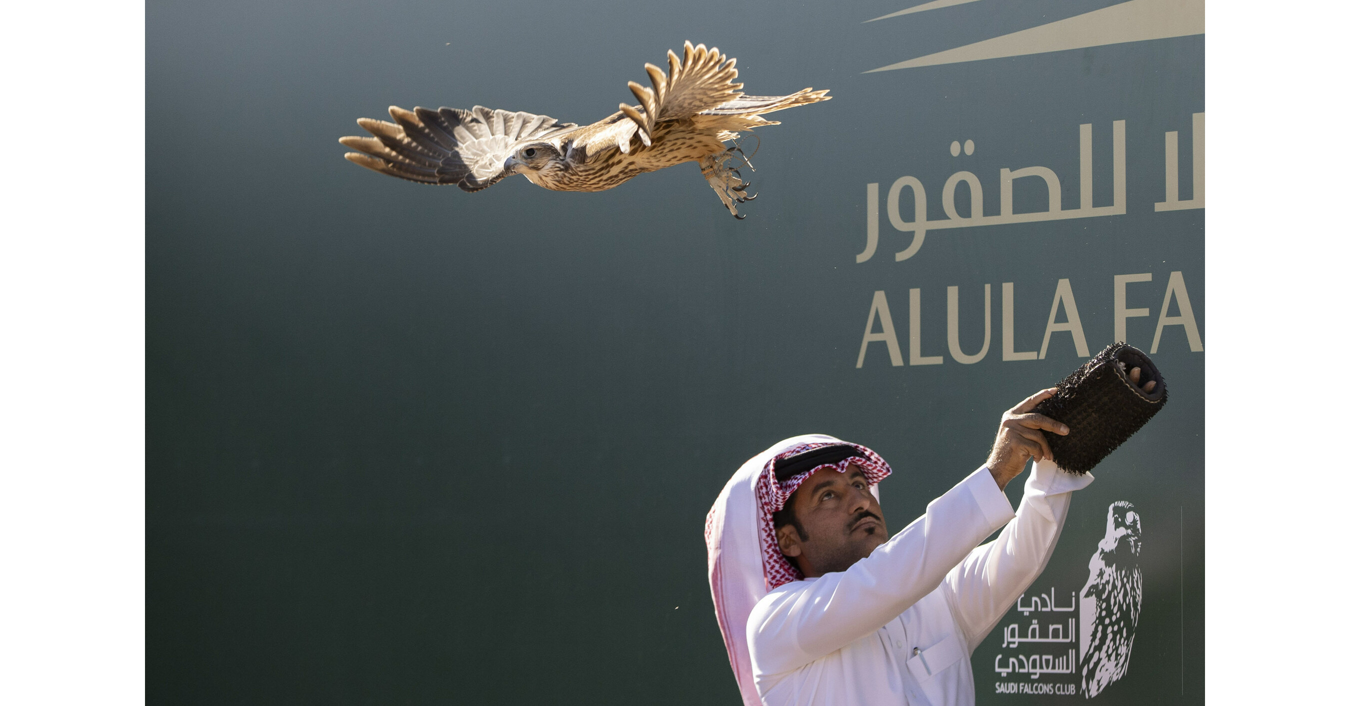Inaugural AlUla Falcon Cup Celebrates Nine Days of Spectacular Heritage ...