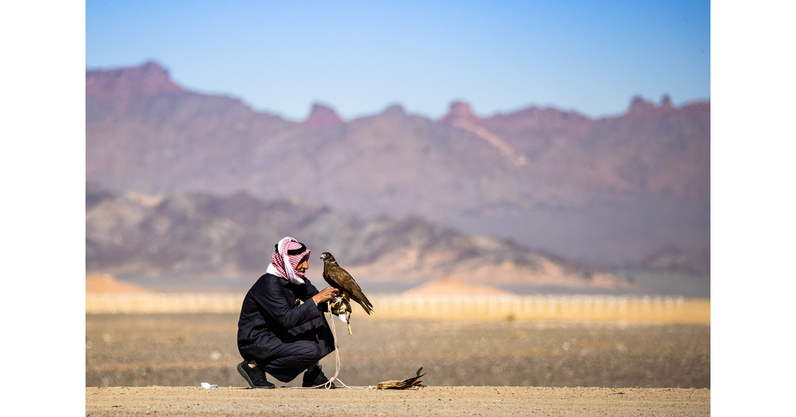Inaugural AlUla Falcon Cup Celebrates Nine Days of Spectacular Heritage ...