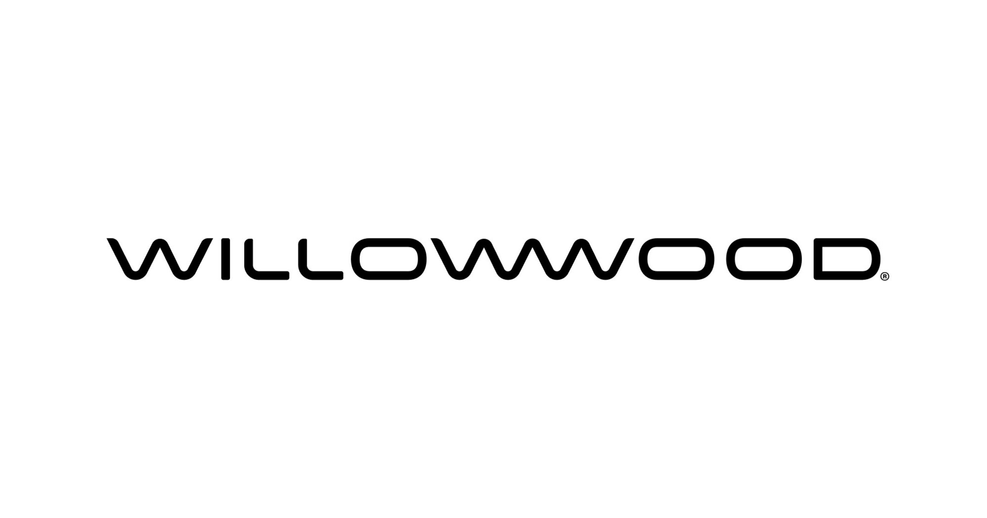 LEADING PROSTHETIC MANUFACTURER, WILLOWWOOD, HIRES NEW MANAGEMENT TEAM ...