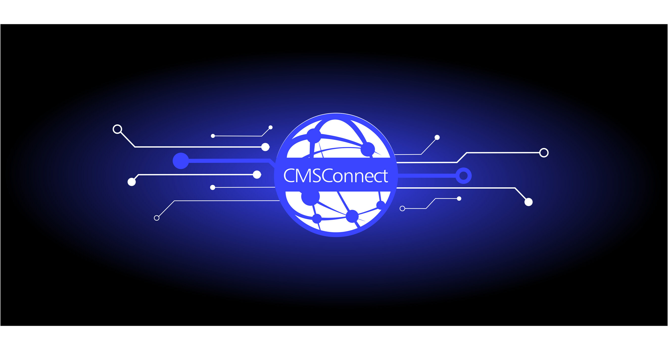 Argo Translation Launches CMSConnect® to Streamline Digital Platform ...