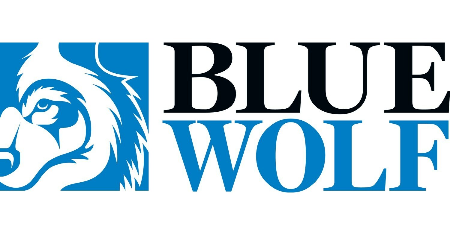 BLUE WOLF CAPITAL FINALIZES ACQUISITION OF LOGISTEC CORPORATION IN ...