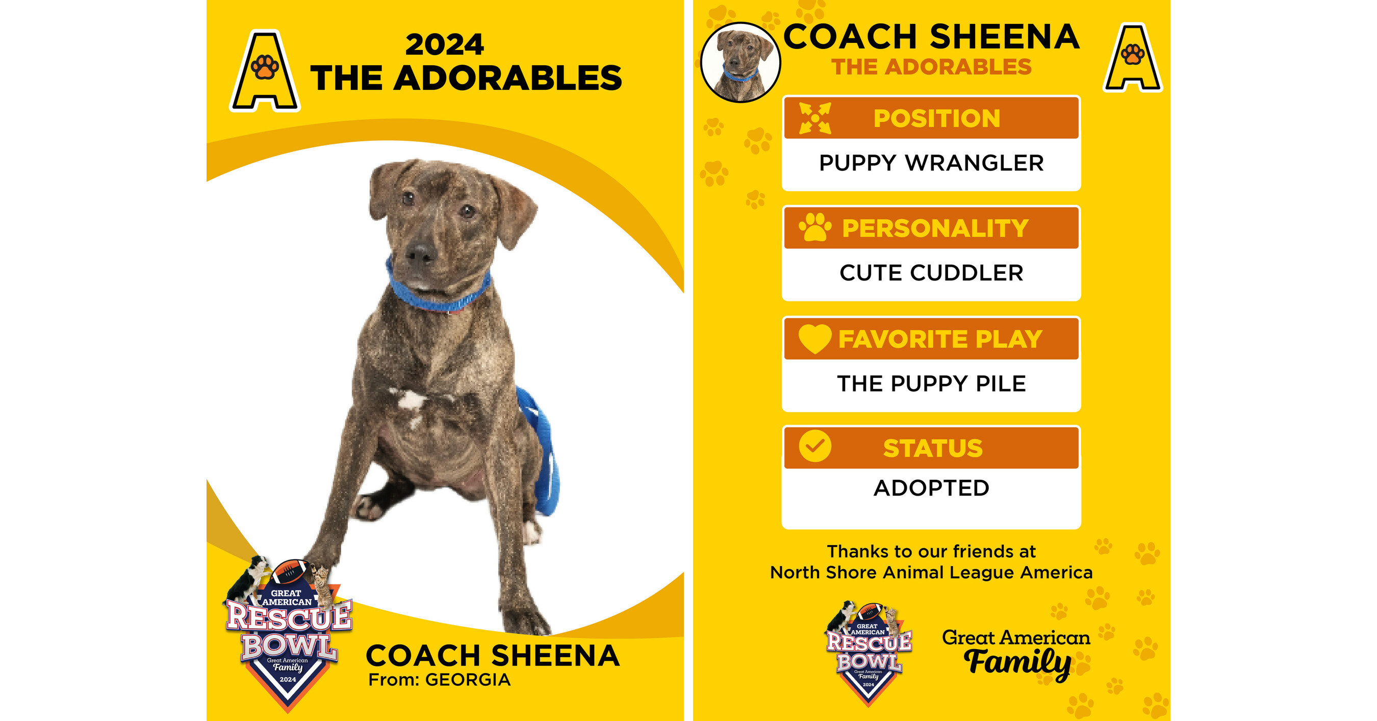 GREAT AMERICAN FAMILY PRESENTS 'GREAT AMERICAN RESCUE BOWL,' STARRING ...