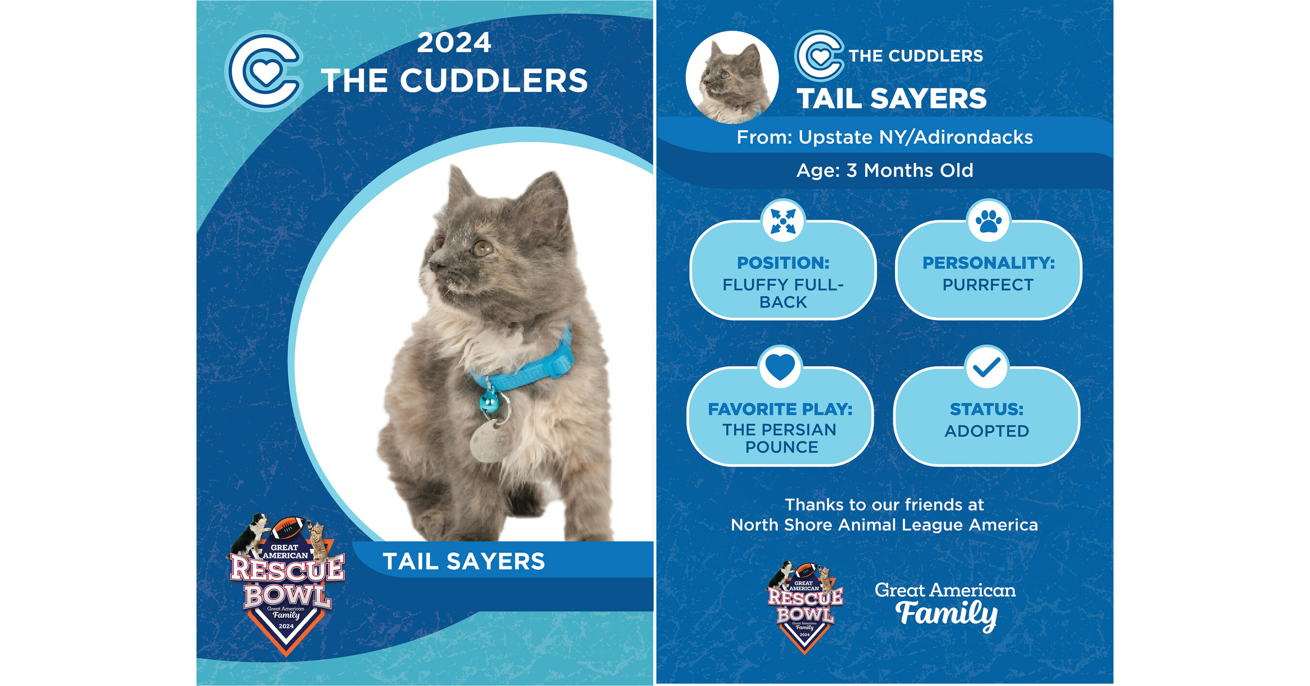 GREAT AMERICAN FAMILY PRESENTS 'GREAT AMERICAN RESCUE BOWL,' STARRING ...