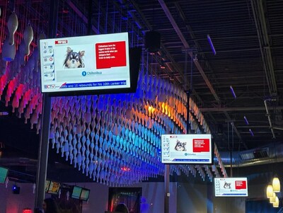 Bowling Center Television (BCTV) Debuts in Major U.S. Markets ...