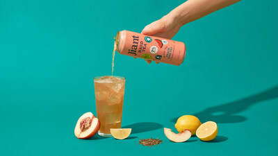 Jiant Welcomes Industry Veteran Steve Fechheimer to Board, Fueling ...