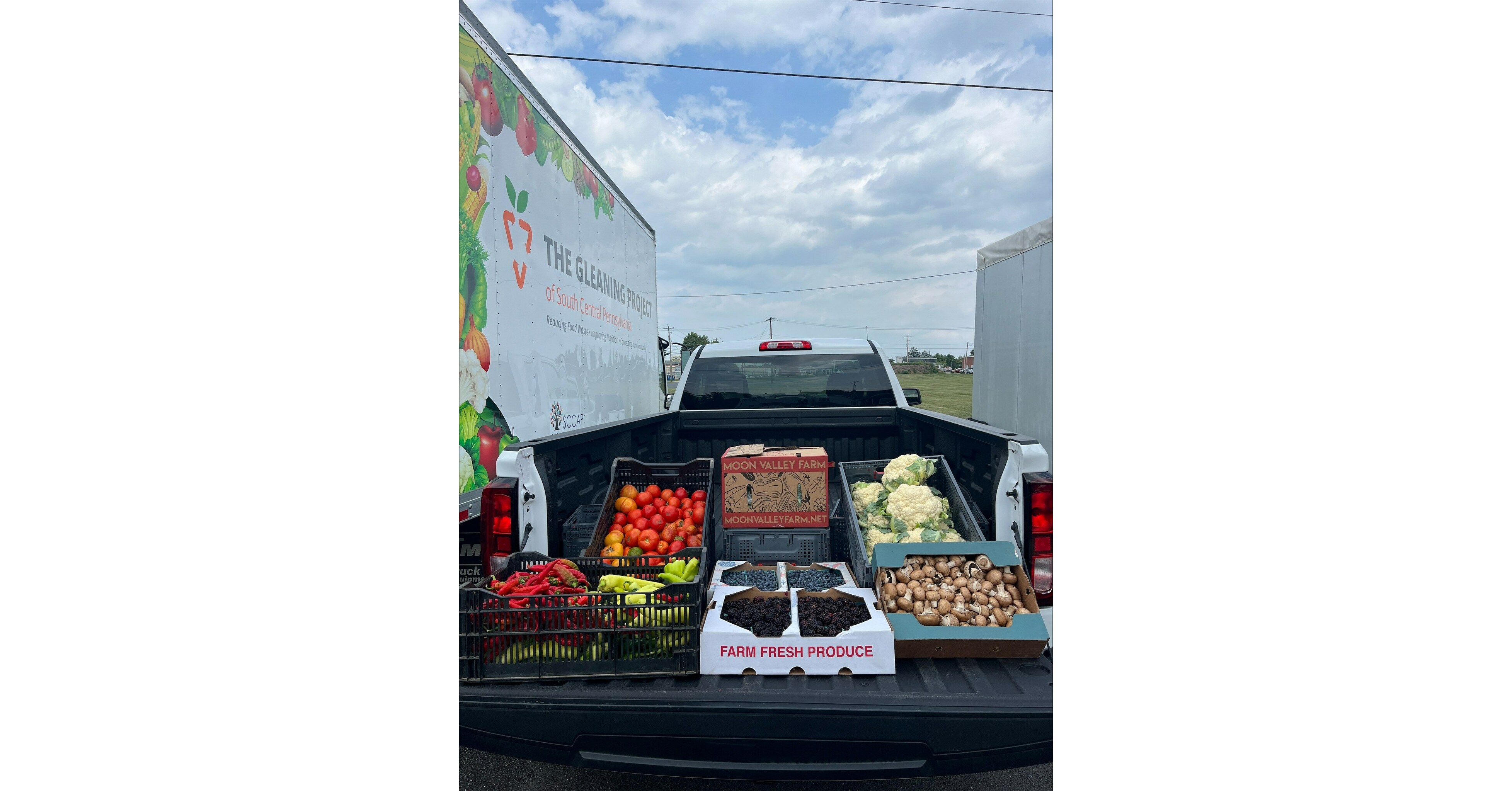 Organic Vegetable Farm Launches Donation Subscriptions with Non-Profit ...