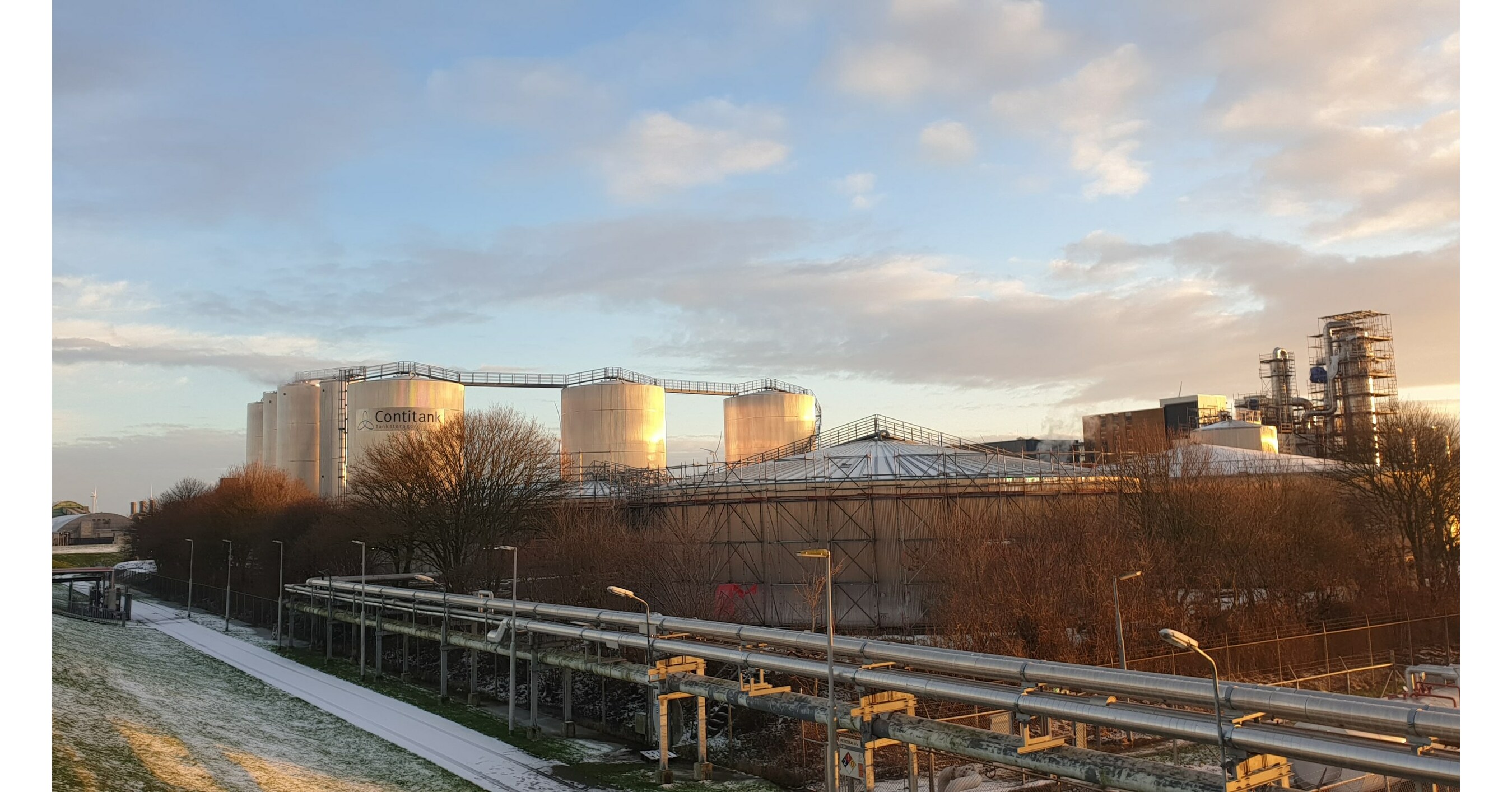 Golden Agri-Resources and Verborg Group Forge Strategic Partnership for ...