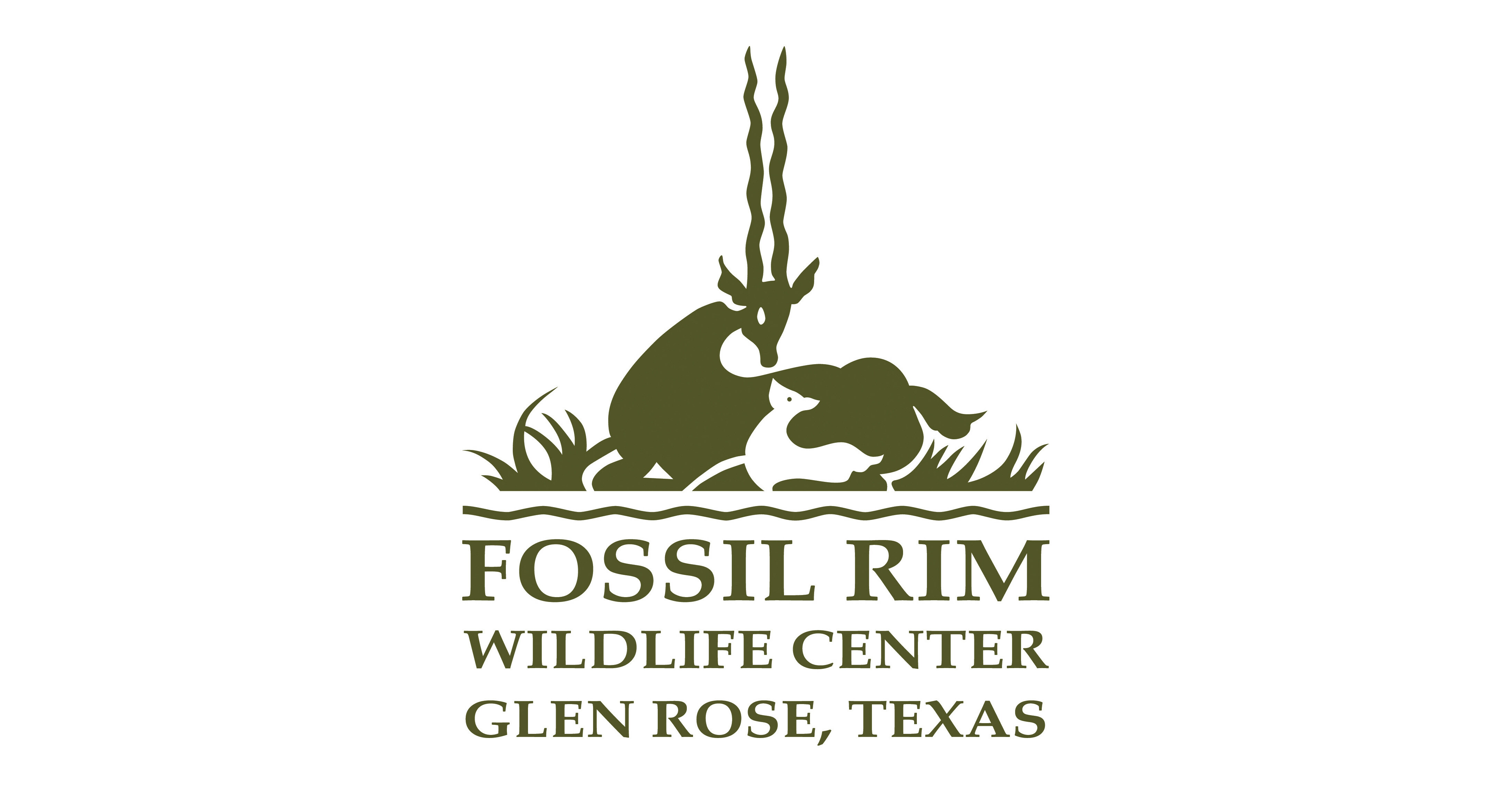 Fossil Rim Wildlife Center Welcomes Baby Southern White Rhino