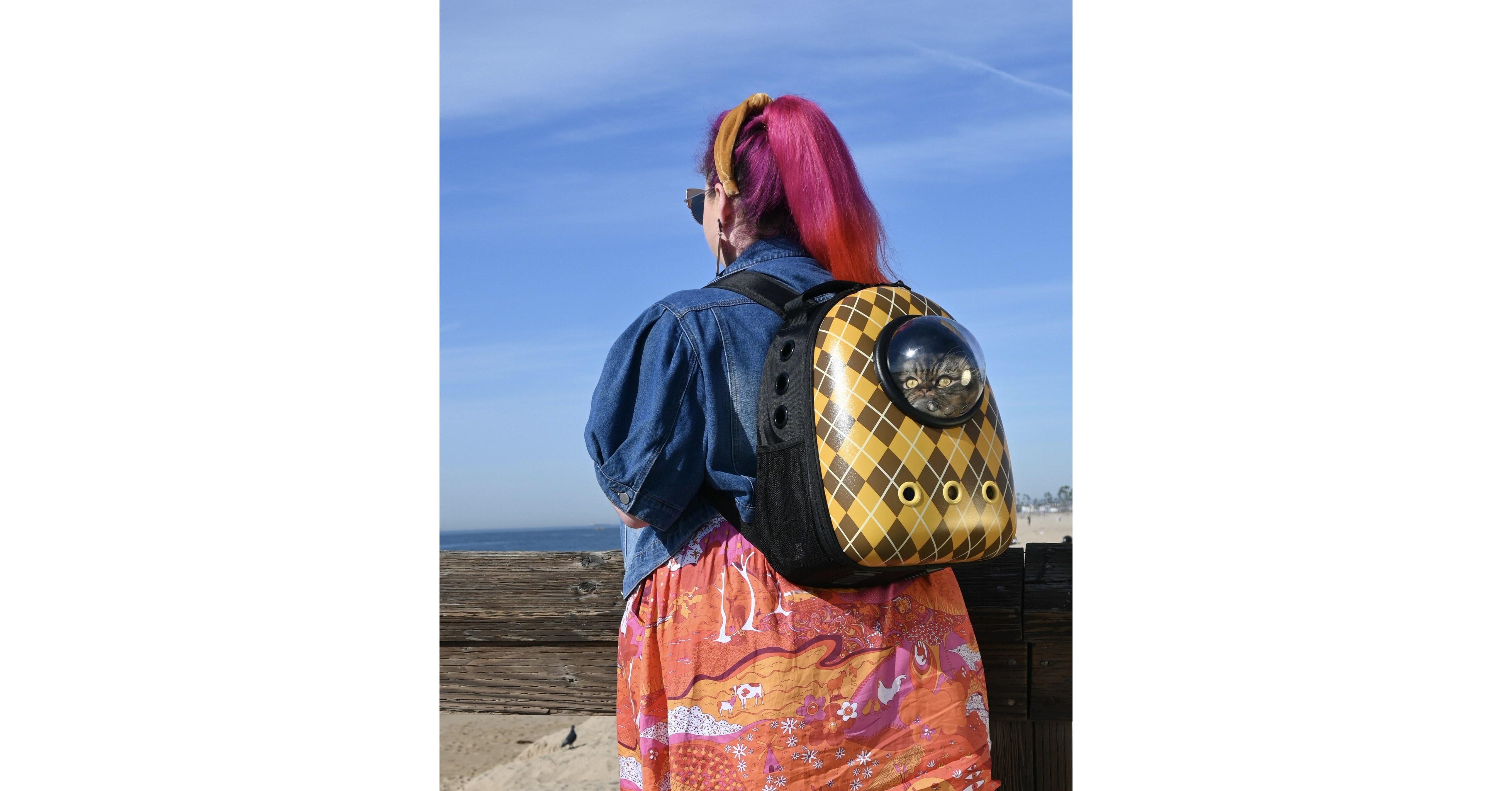 Travel Cat Unveils Exclusive Cat Collection Inspired by Matthew Vaughn ...