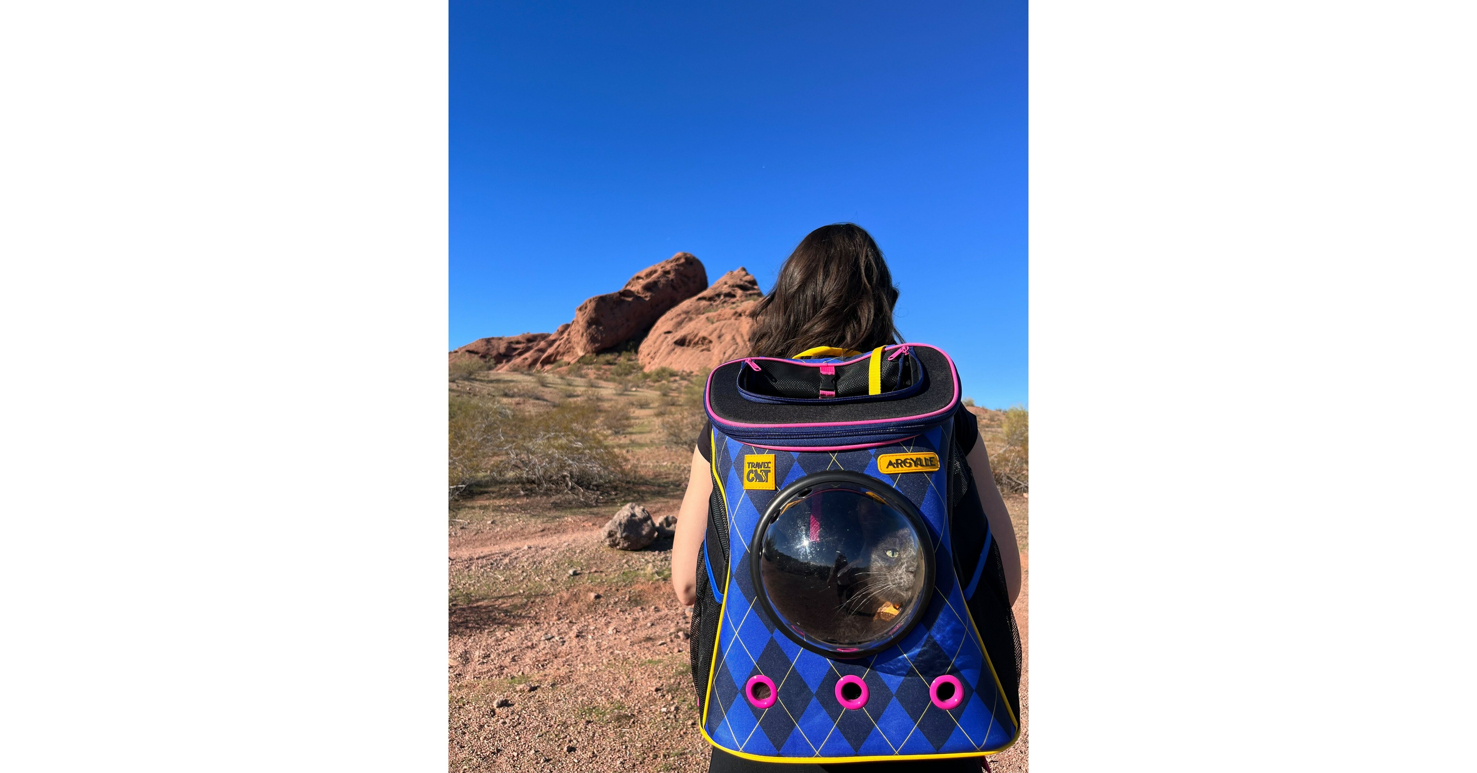 Travel Cat Unveils Exclusive Cat Collection Inspired by Matthew Vaughn ...