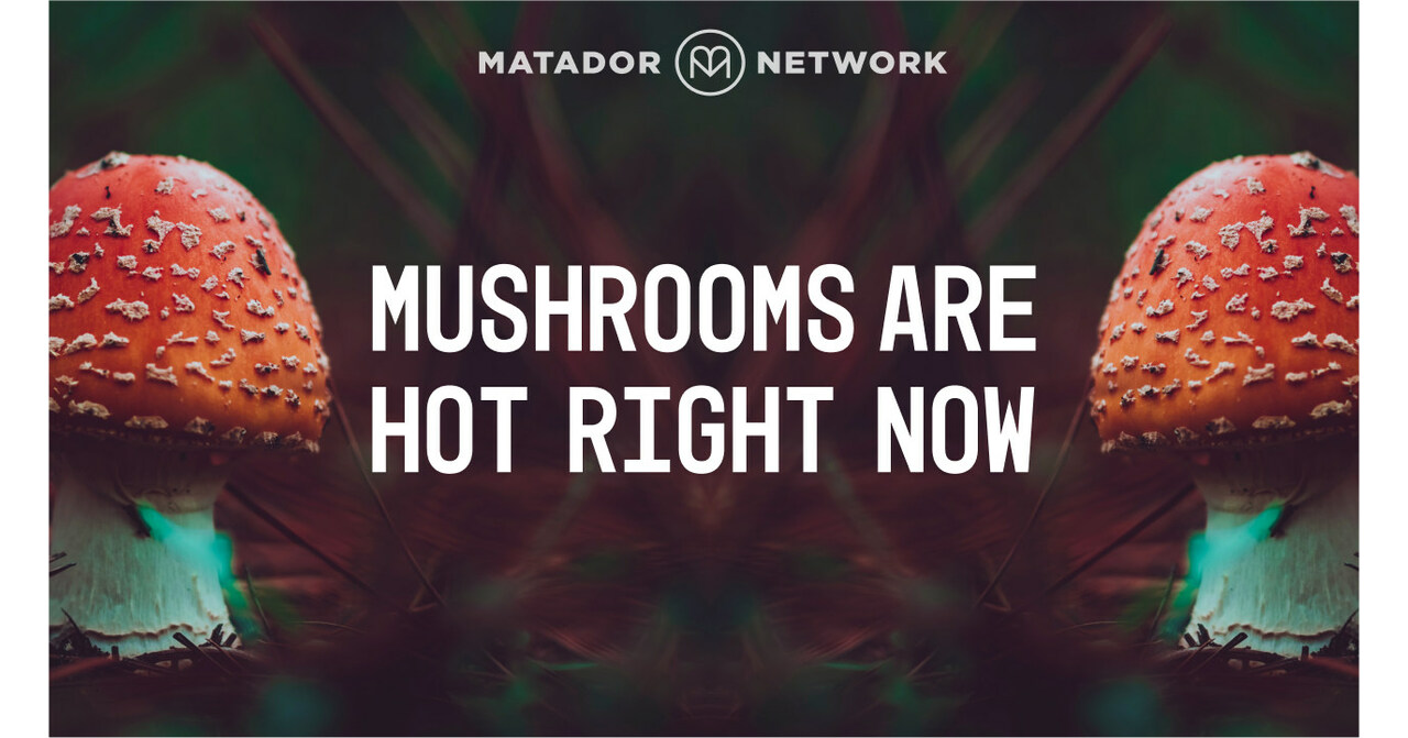 Mushrooms Hold the Key to a Sustainable Future Says Fungi Influencer ...