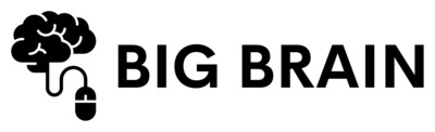 Big Brain Ushers In a New Era: AI Bot Creation with No Coding Skills ...