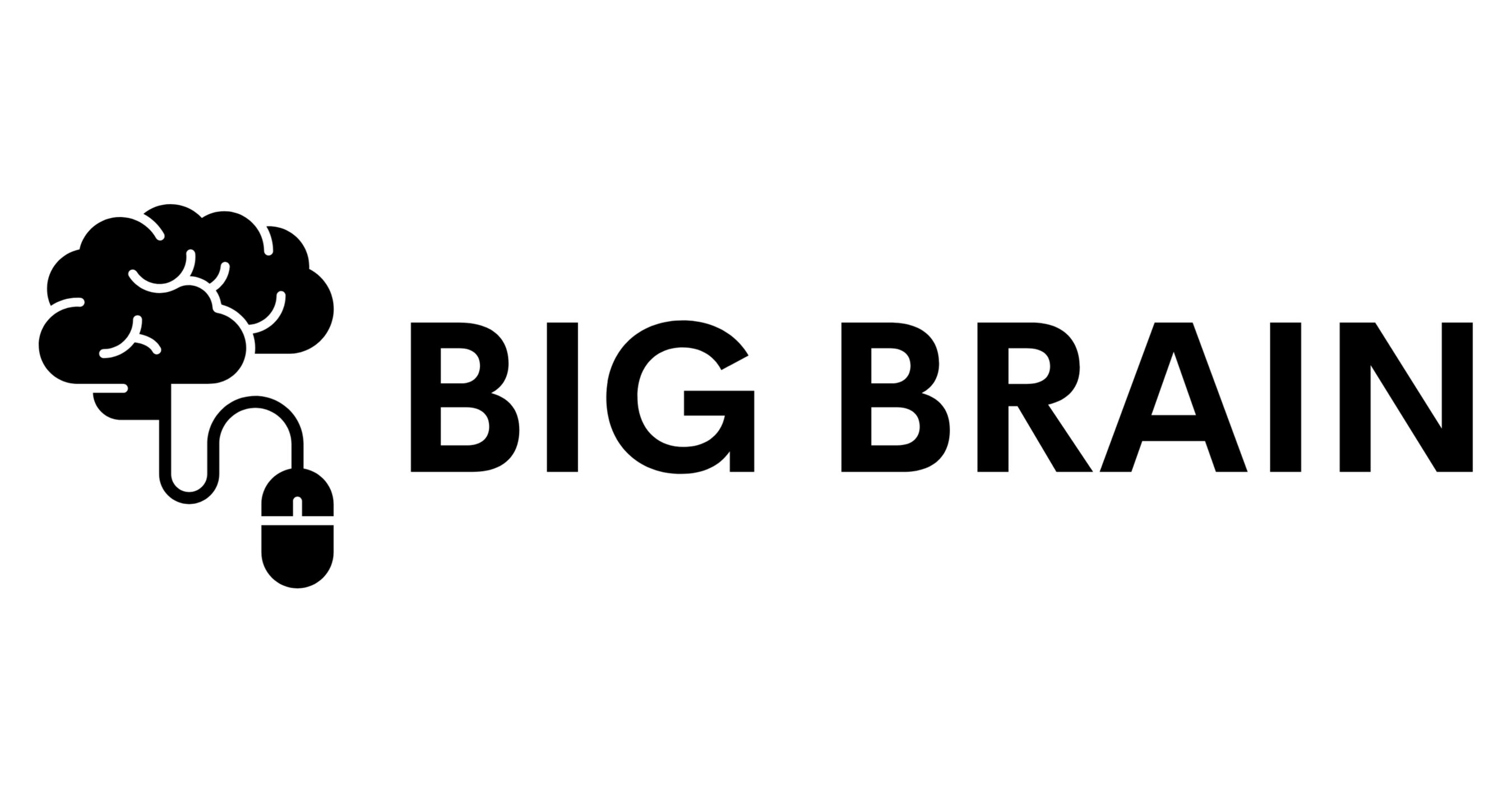 Big Brain Ushers In a New Era: AI Bot Creation with No Coding Skills ...