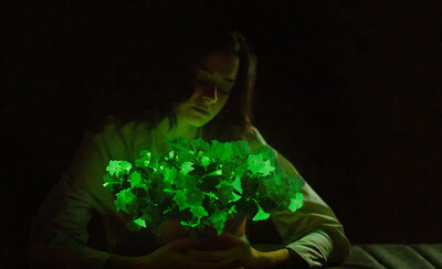 Bioluminescent Plants Are Now Even Brighter: Light Bio to Begin Selling ...