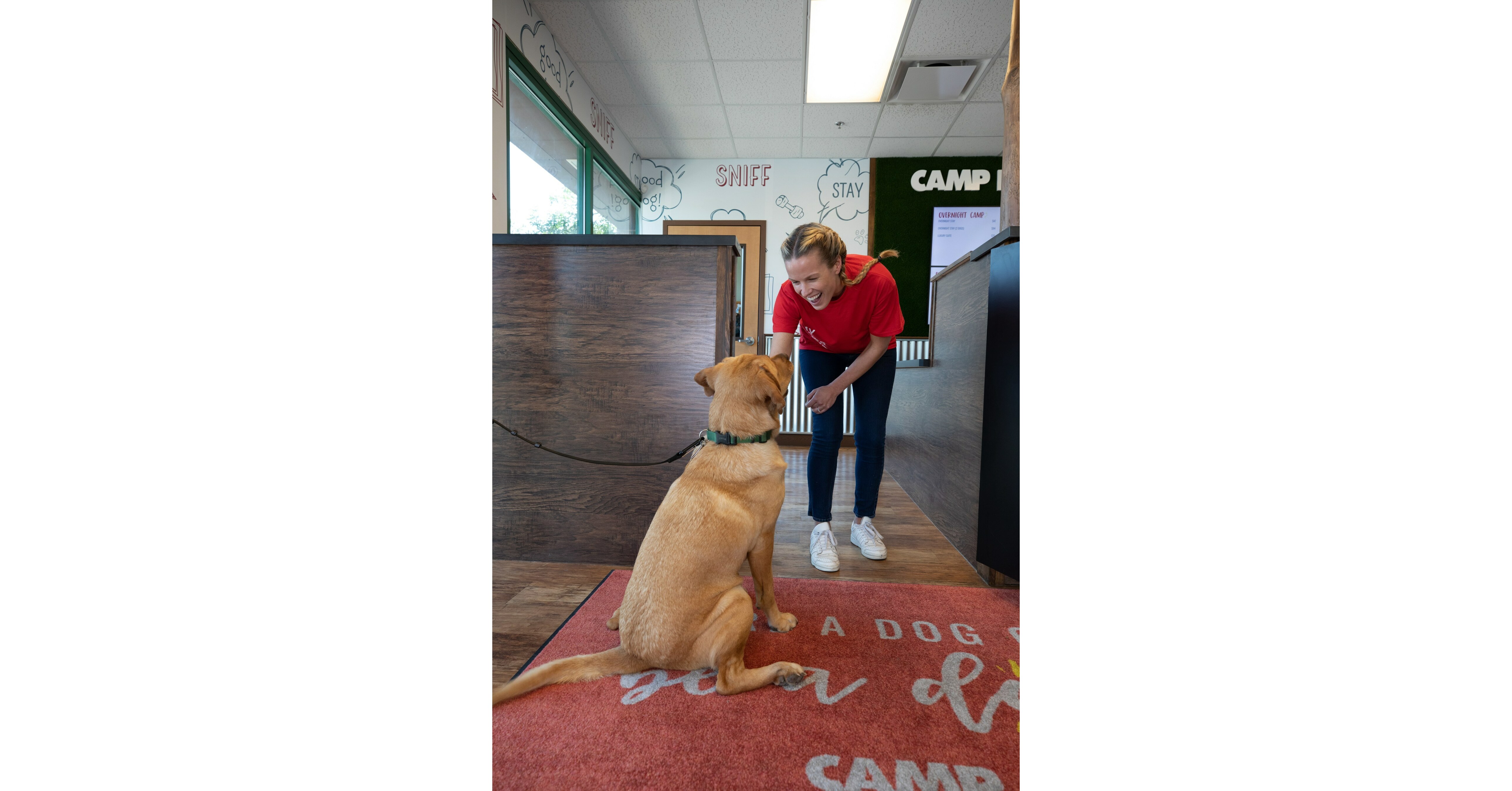 Propelled Brands Acquires Camp Bow Wow, Elevating the Prominent ...