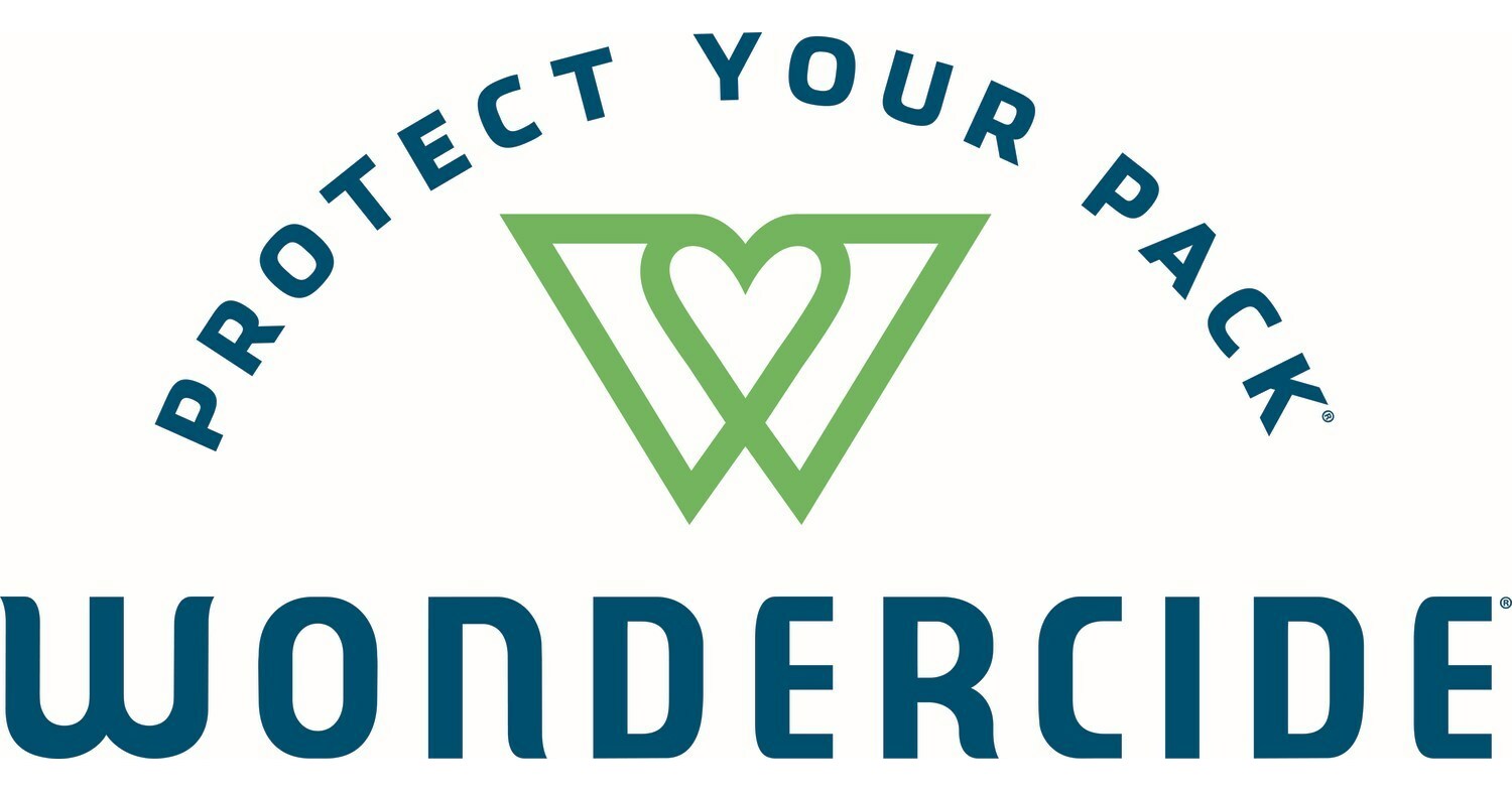 How to Help Employees Love Your Company: Wondercide Shares Tips to Bridge Cupid and Community