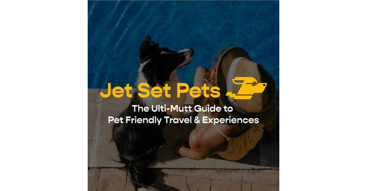 Introducing Jet Set Pets: The Ulti-Mutt Guide to Pet-Friendly Travel ...