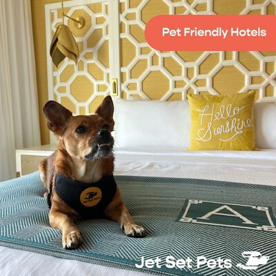 Introducing Jet Set Pets: The Ulti-Mutt Guide to Pet-Friendly Travel ...